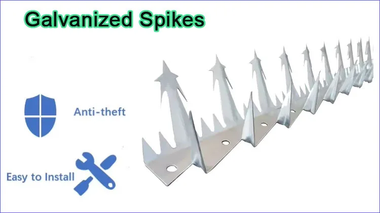 Hot Dipped Galvanized Steel Spike/ razor Barbed Wire Anti Climb Wall ...