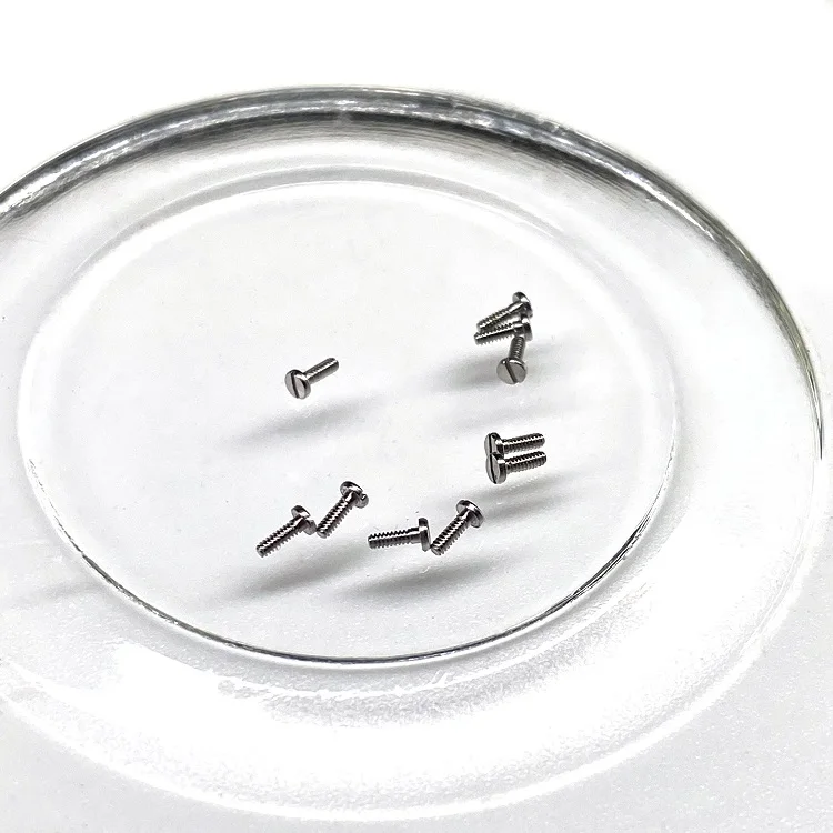 0.8mm 1mm Stainless Steel Mini Screws for Precision Electronics
