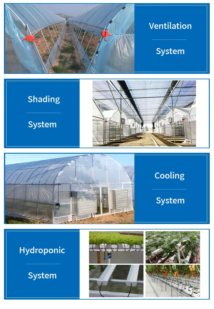 Victorian Shade Net Solar Greenhouse Kit Tropical Rain-proof Sawtooth ...