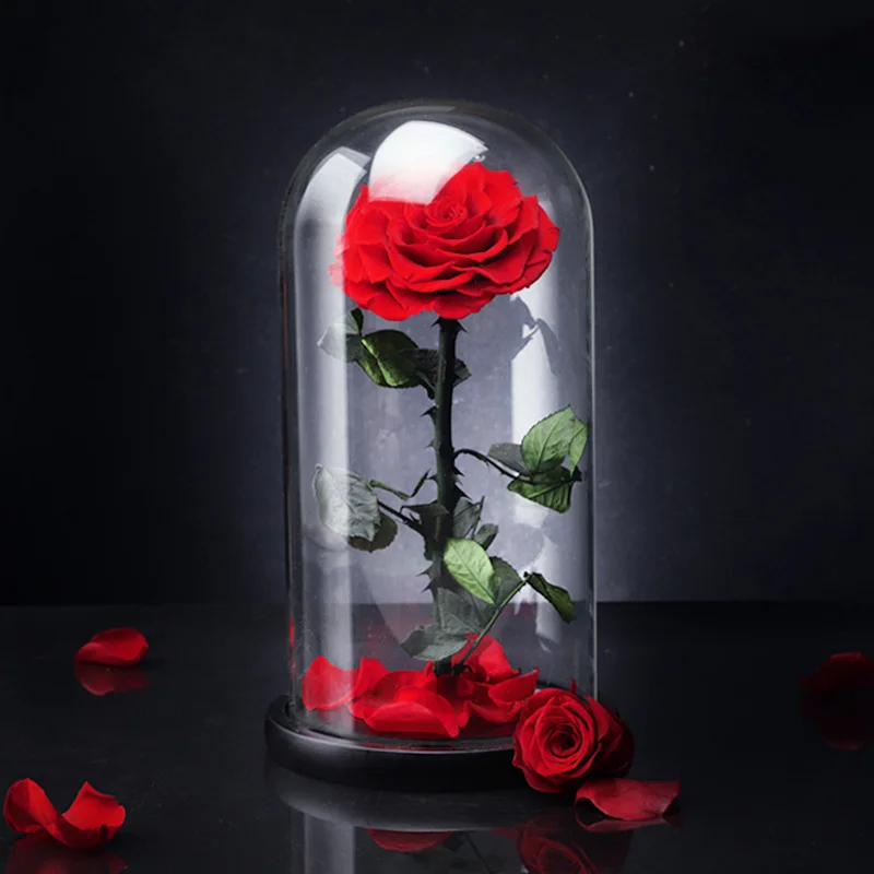 Natural Preserved Roses Flowers in Glass Dome Gift Box for Valentines ...