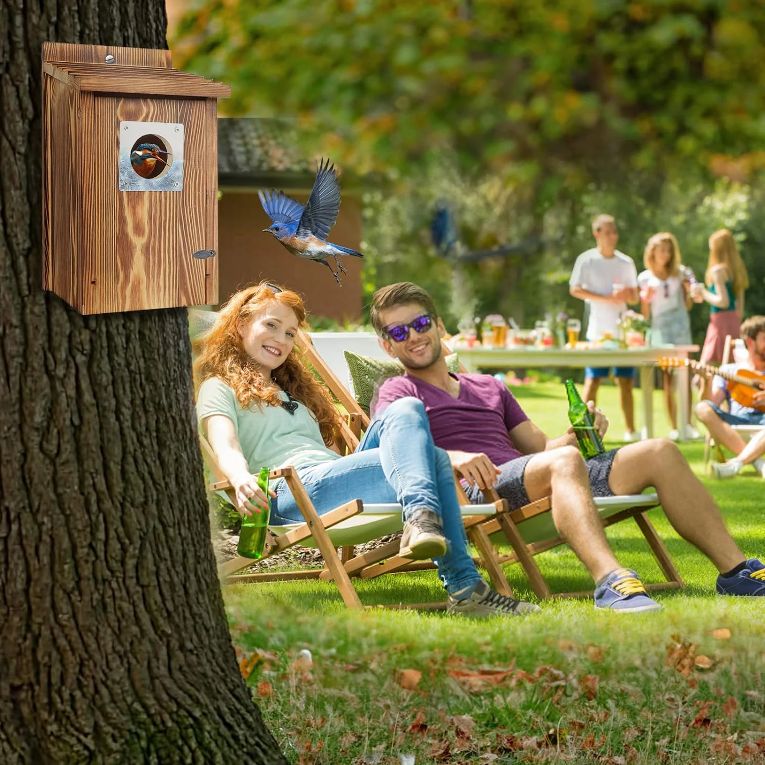 Wooden Nesting Boxes For Outside With Metal Predator Guard For Bluebird ...