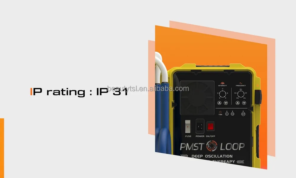 Pemf Therapy Physio Equipment Pemf Horse Pmst Loop With X-wing Double ...