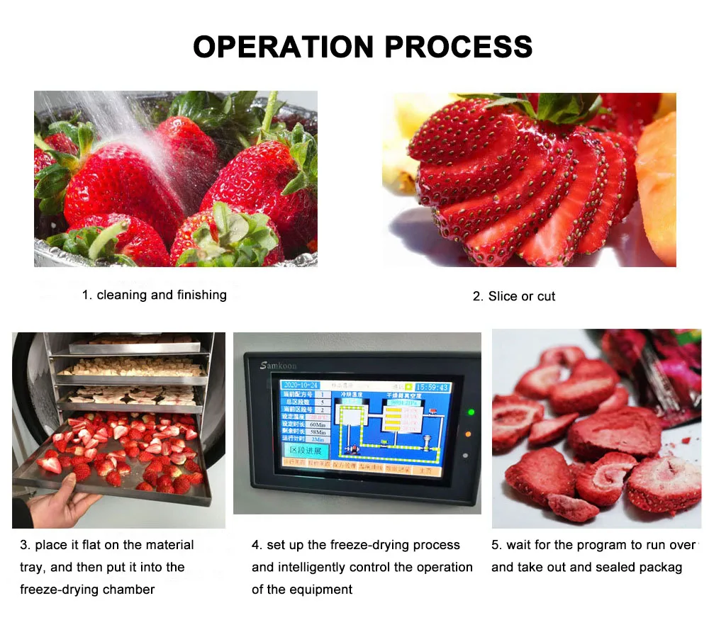 Dryer Home Lab Food Fruit Vegetable Candy Coffee Lyophilizer Vacuum Low ...