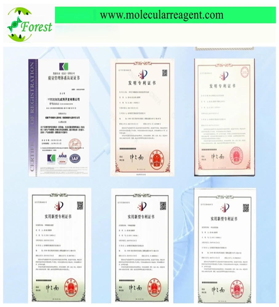 Genomic Dna Isolation Kit Dna Isolation And Purification Molecular Biology Lab Reagent For Lab