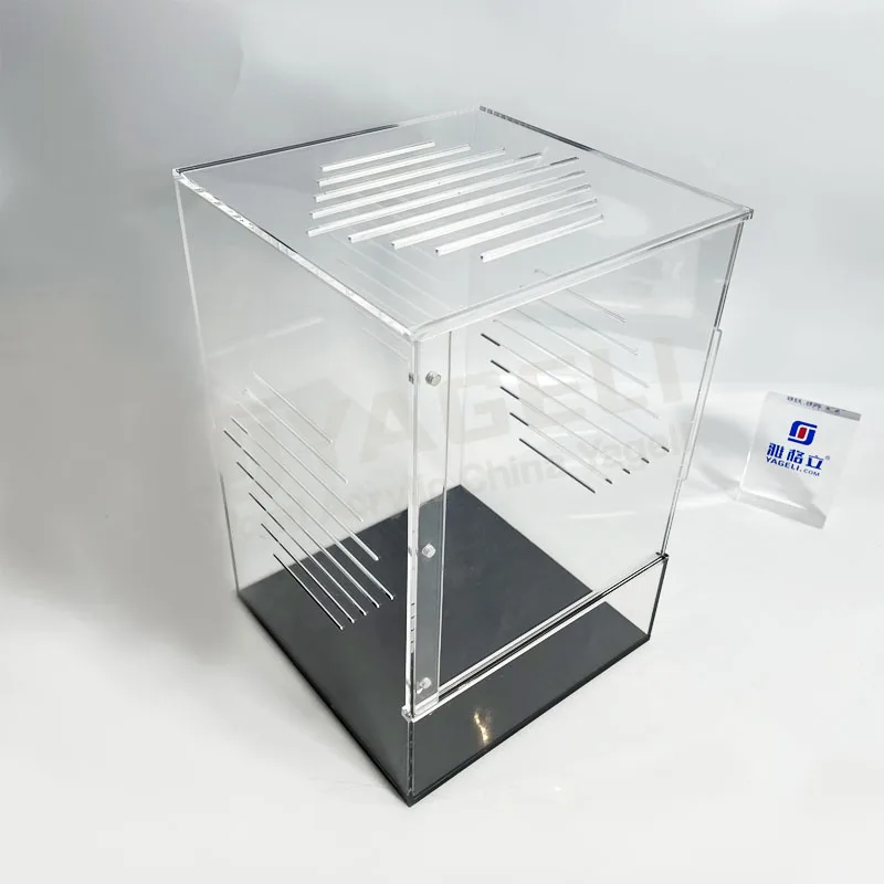 High Transparency Acrylic Spider Lizard Reptile Display Cases With ...