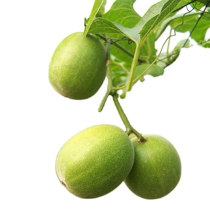 Free Samples Luo Han Guo Extract, Monk Fruit Sweetener, Monk Fruit ...