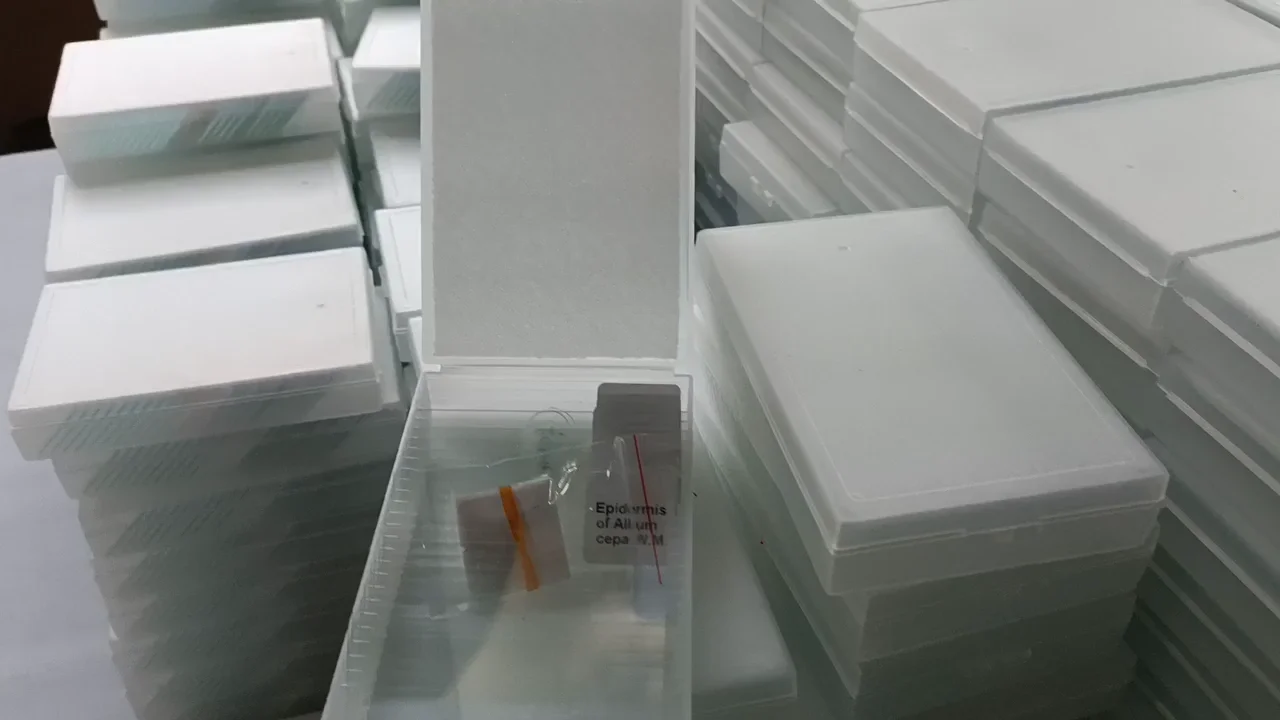 Factory Factory Supplied Human Histology Prepared Slides 100-slice Set ...