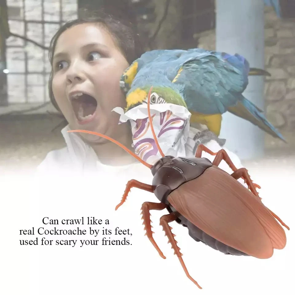 Simulation Rc Cockroach,Spoof Tricky Infrared Remote Control Beetle ...