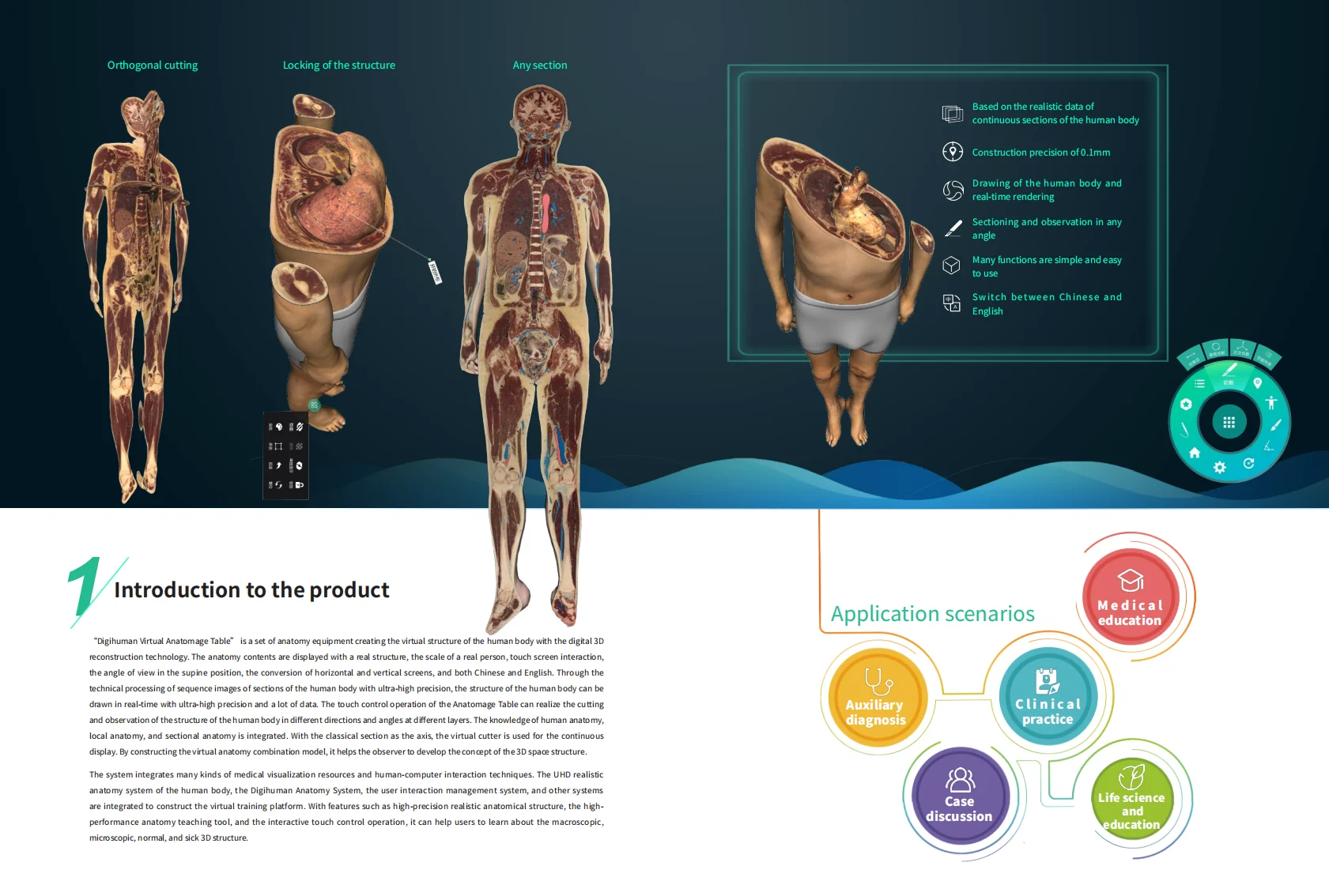 School Teaching System Digital Human Anatomy System Anatomage 3d Body ...