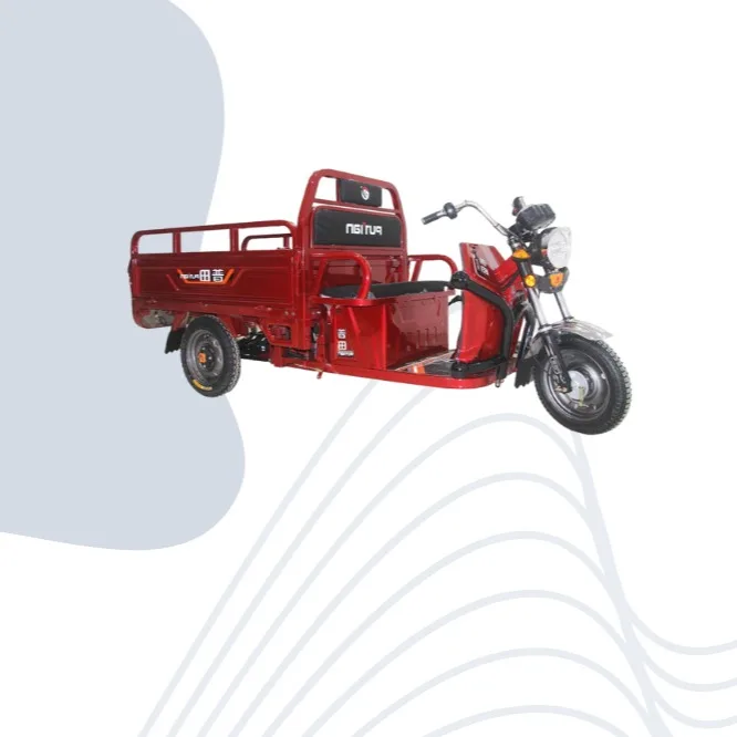 Fashion Kit Trike Paramotor Engine Moto Lineale 45 Kmh Electric Car 2 ...