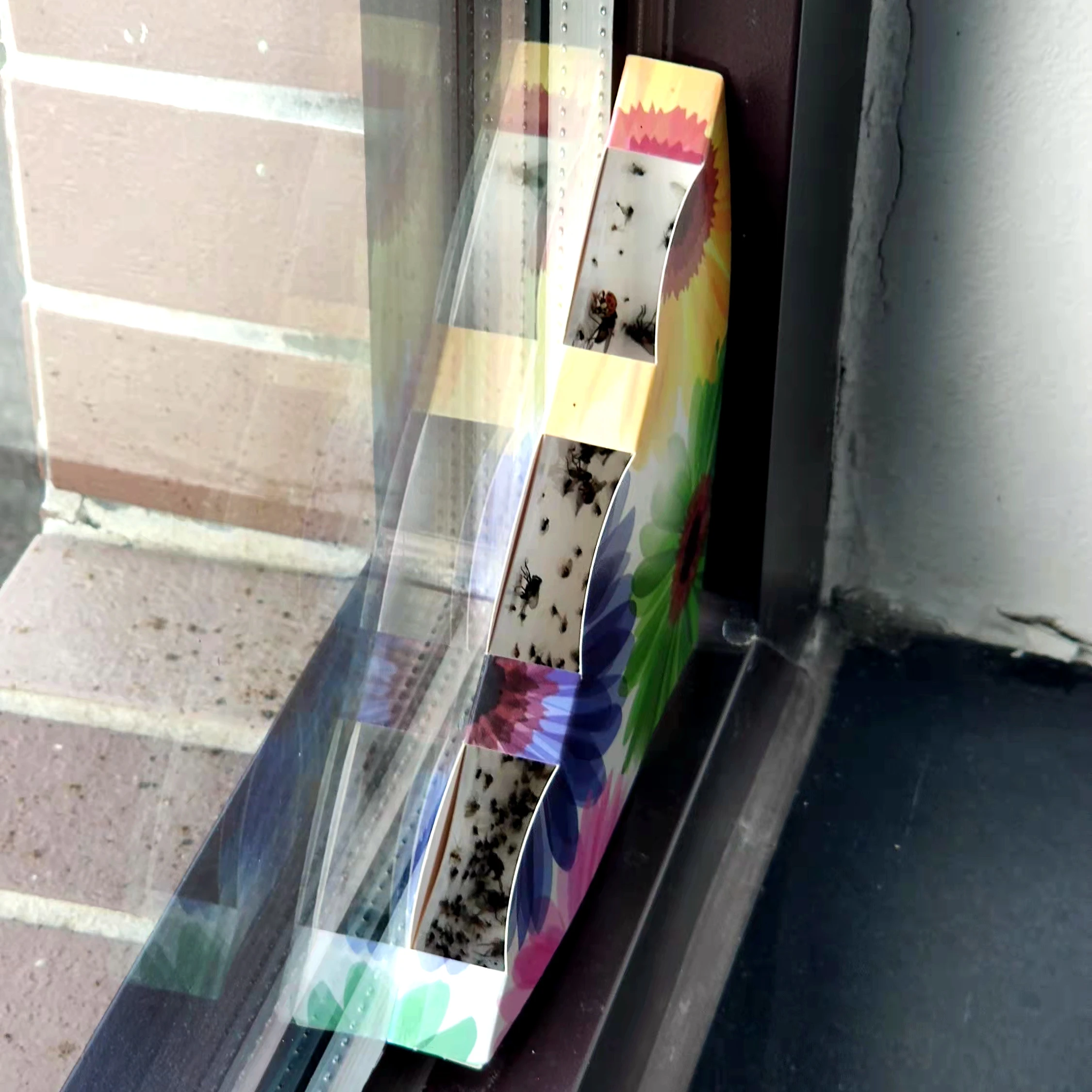 Indoor Use Window Corner Fly Trap for Pest Control