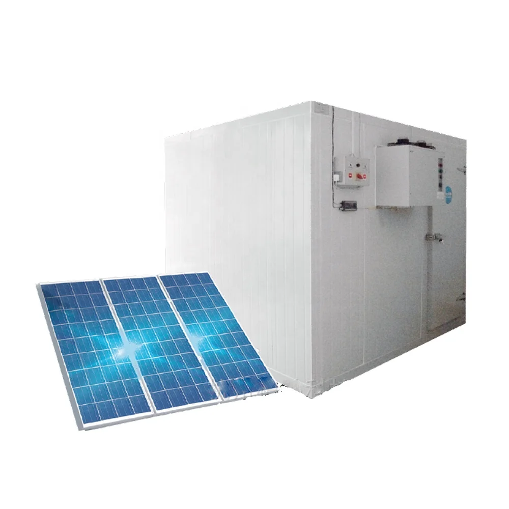 Solar Power Cold Storage Room - Efficient Vegetable & Fruit Preservation