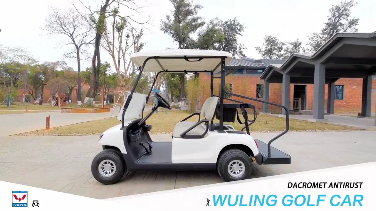 Mini Golf Cart Wuling 2 Seats Electric Golf Buggy Cart For Hotel - Buy ...