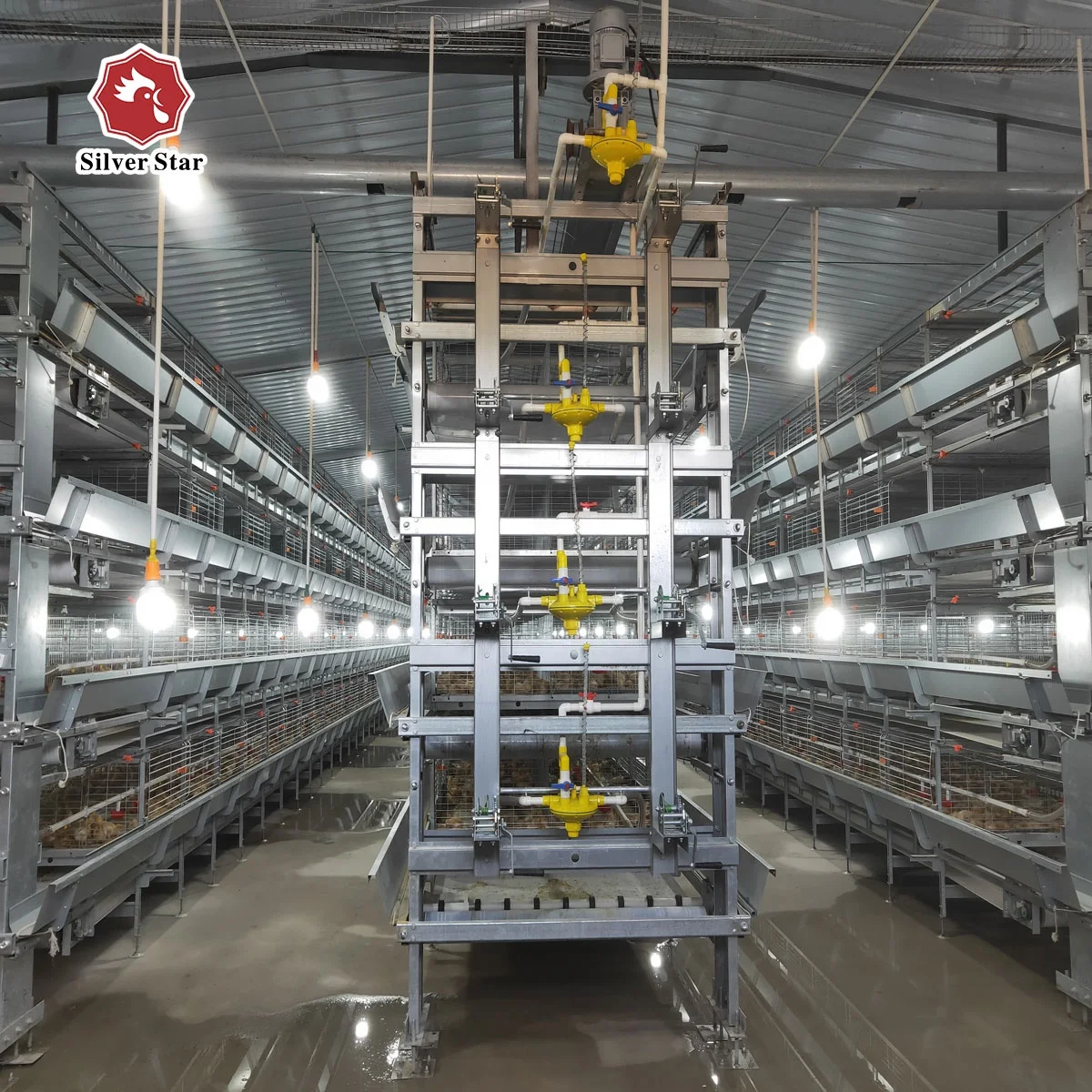 Free Plan Layout Design for Broiler Chicken House - Technical Proposal ...