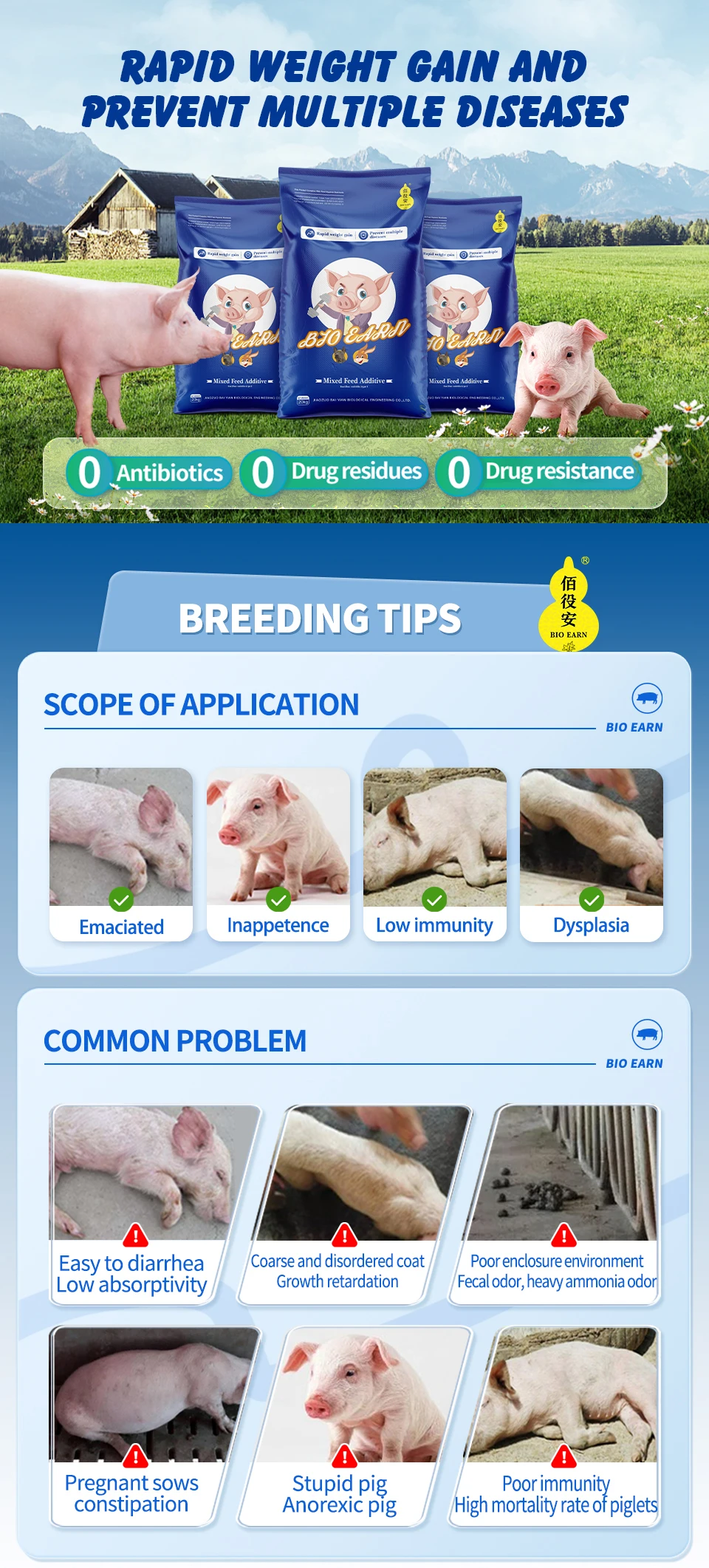 Best Quality Bacillus Subtilis Animal Supplement Probiotics for Poultry ...