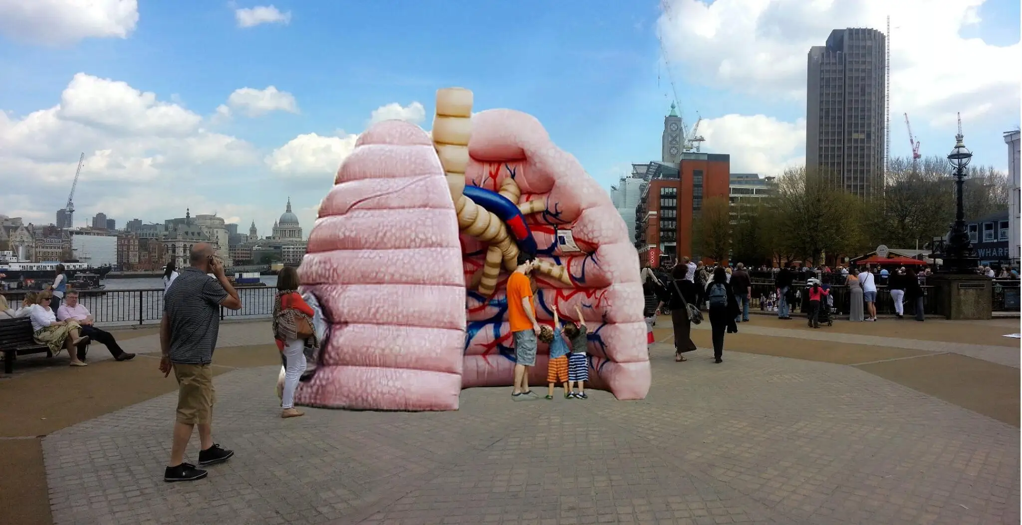 Giant Inflatable Anatomical Lungs Model Medical Inflatables Exhibits ...