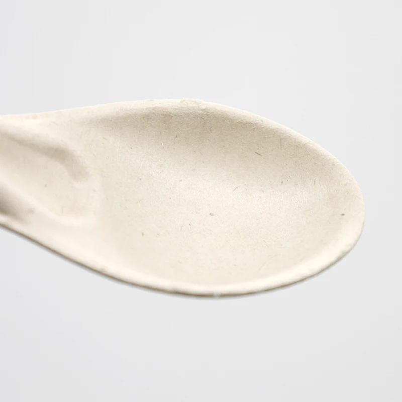 Compostable No Plastic Sugarcane Fiber Spoons Heavy Duty Flatware Eco ...