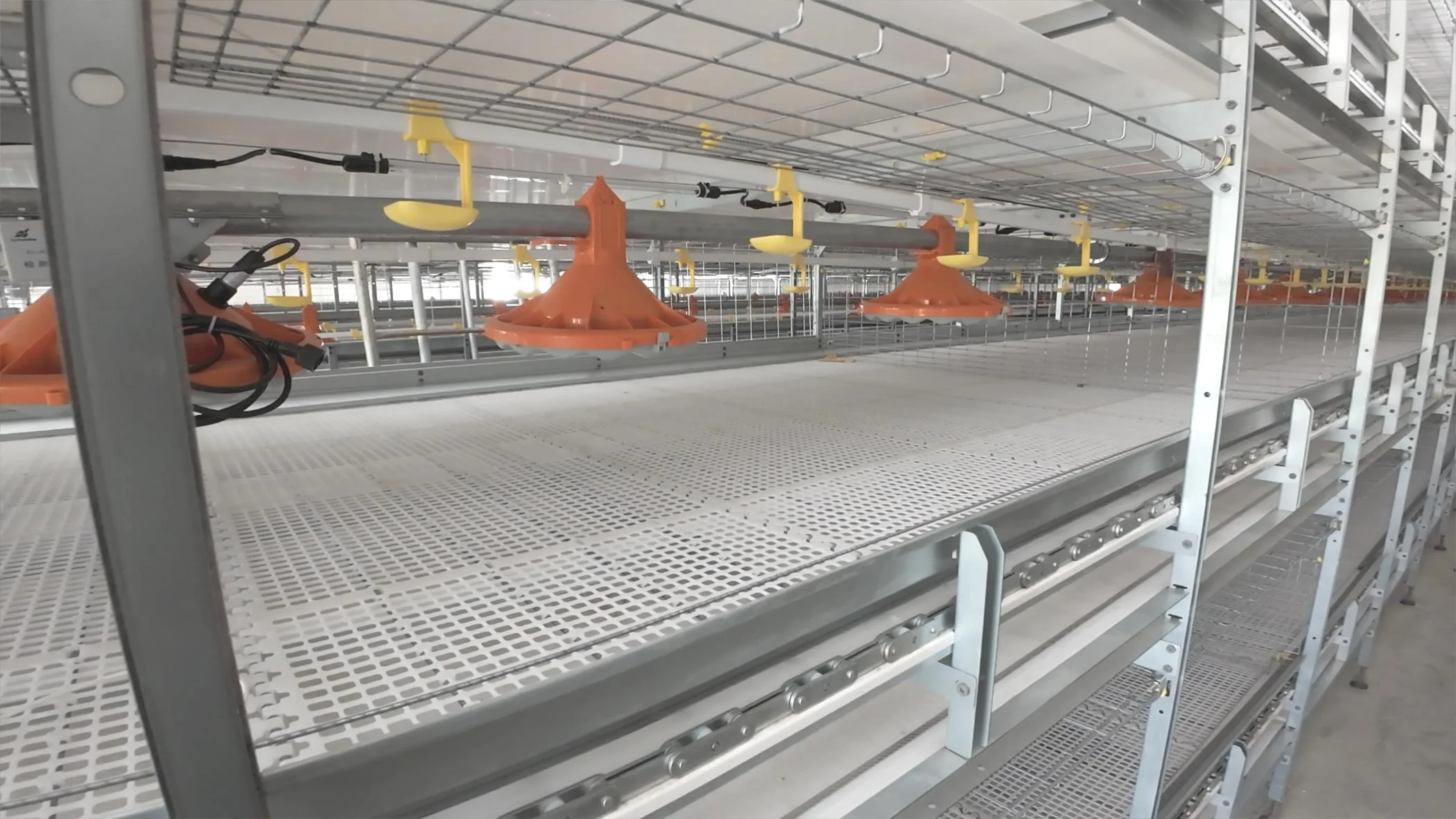 Automatic Poultry Chicken Farm Broiler Cages H-type Raising with ...