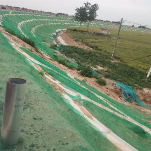 Slope Protection with 3D Vegetation Cover Net HDPE Geomat
