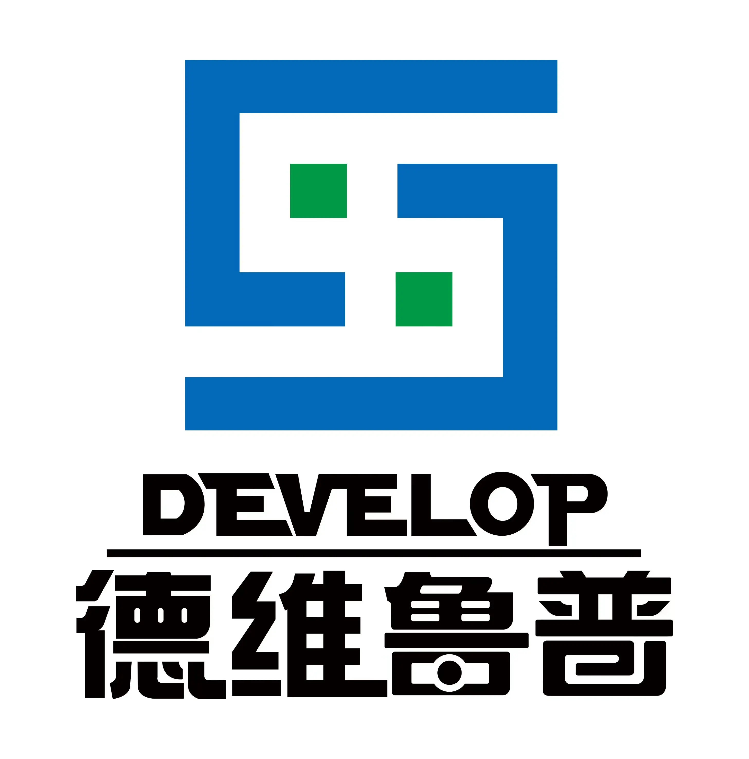 Company Overview - Shandong Develop Trading Co., Ltd.