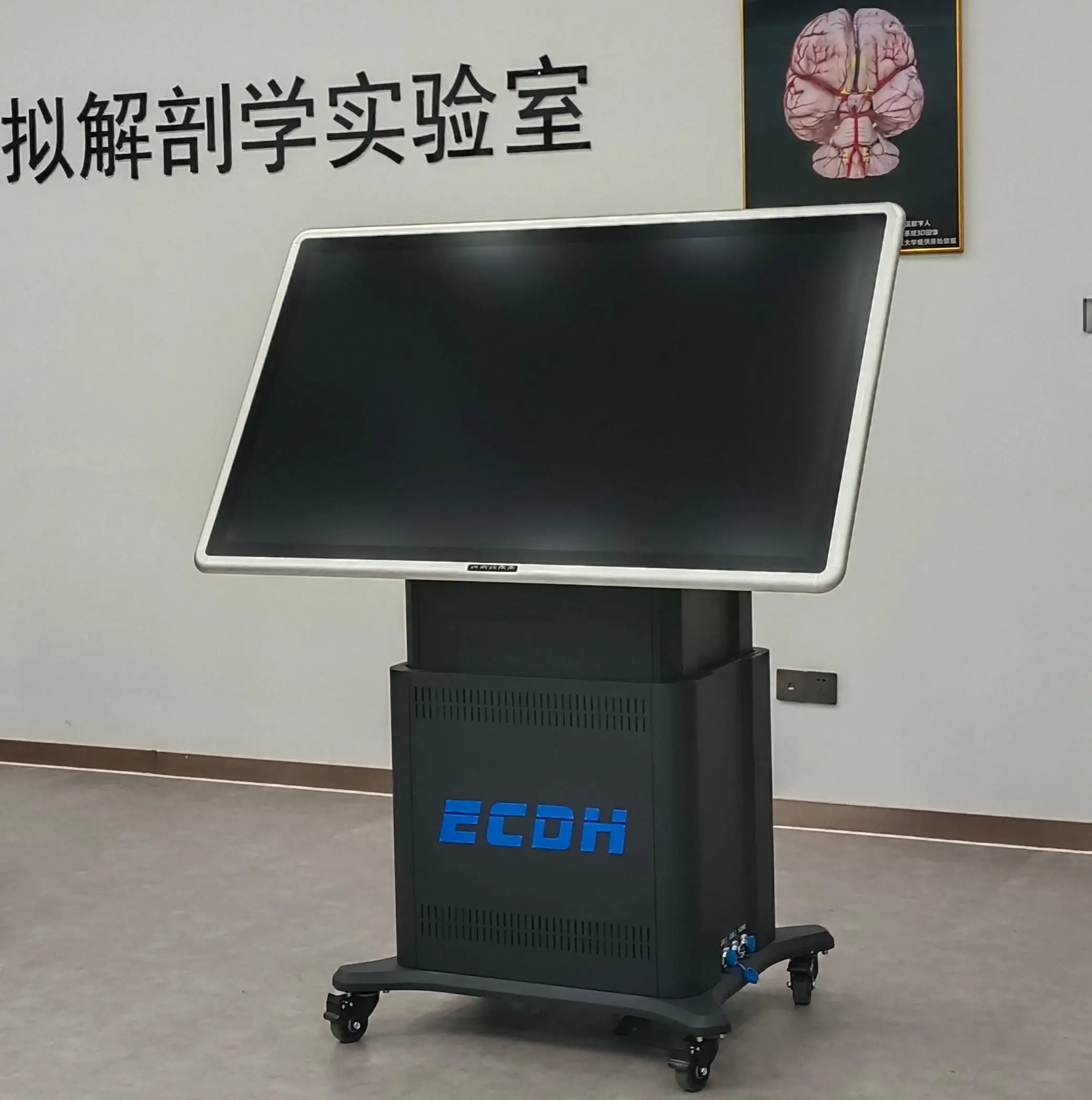 Virtual Anatomy Table 55 Inches Virtual Anatomy Table Dissection Tools ...