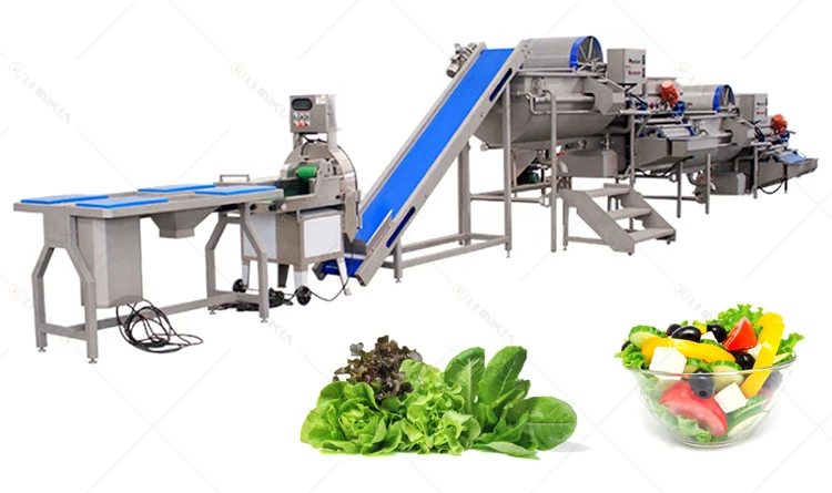 LONKIA Baby Spinach Lettuce Cabbage Fruit and Salad Leafy Vegetables ...