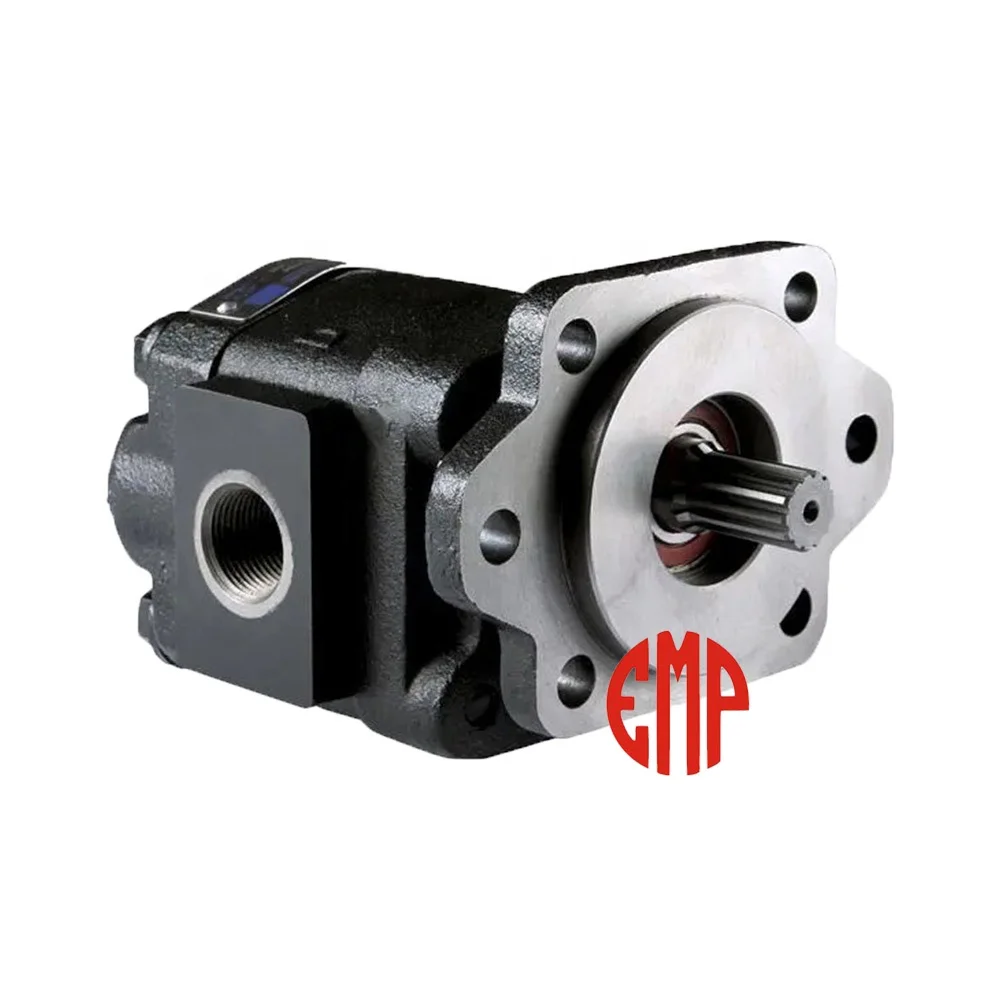 Cl7029521041/cl7029521007 Hydrauliccast Iron Gear Pump Double Pump ...