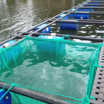 Square Floating Aquaculture Tilapia Fish Farming Cages Made Of Pe ...