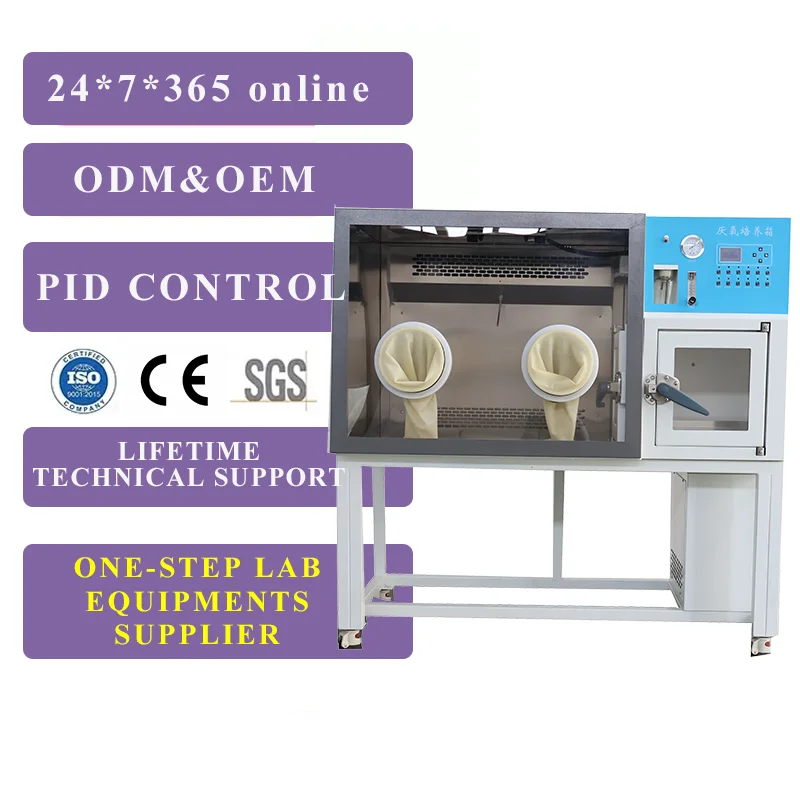 laboratory constant temperature anaerobic incubator with sampling chamber for lab and medicine ...
