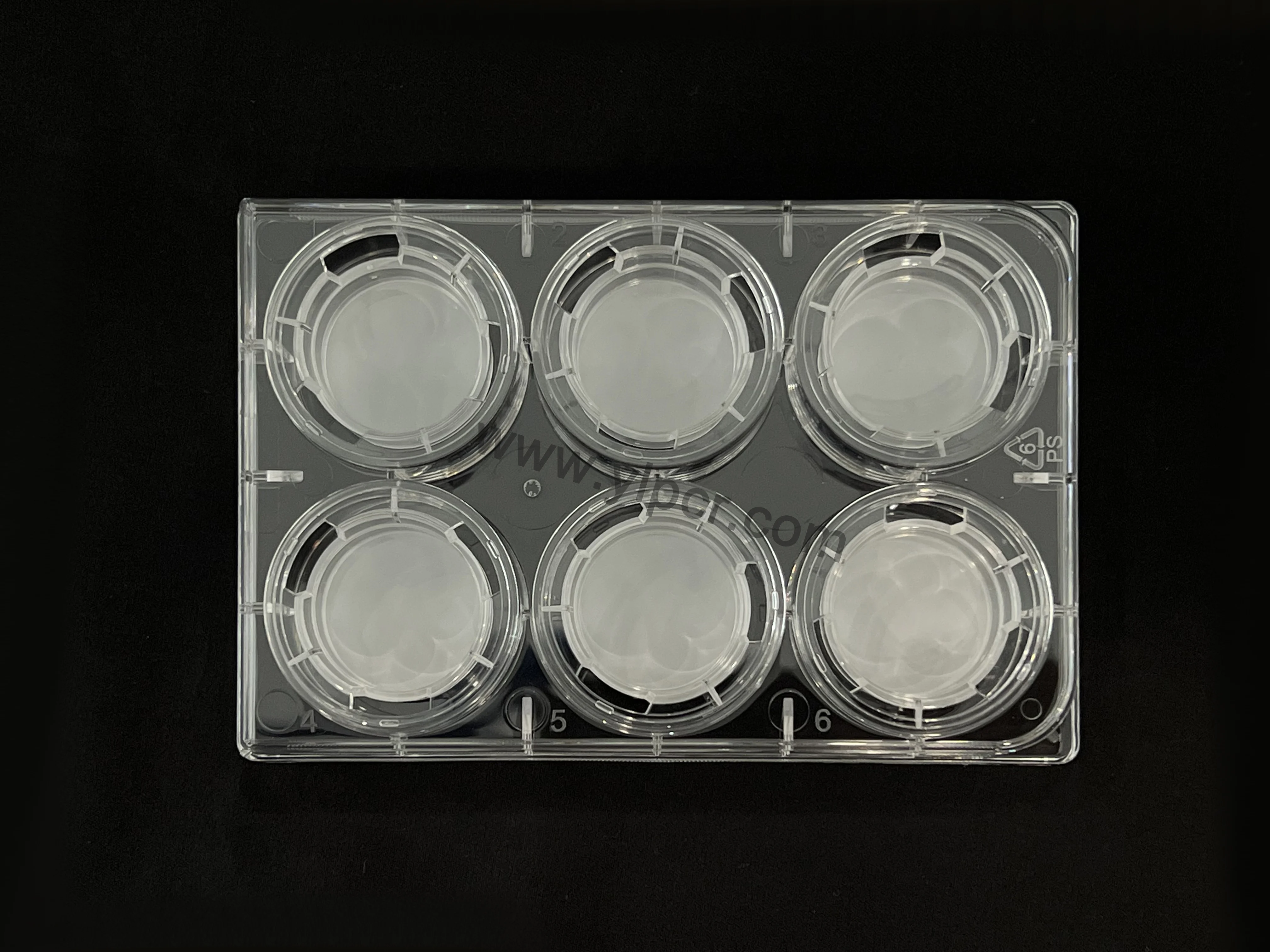 Permeable Cell Culture Inserts,Cell Culture Plate,0.4um Pet Film - Buy ...