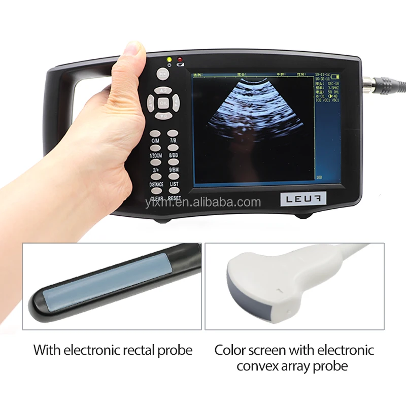 Portable Veterinary Ultrasound Scanner For Sheep Cow Pig Ultrasound ...