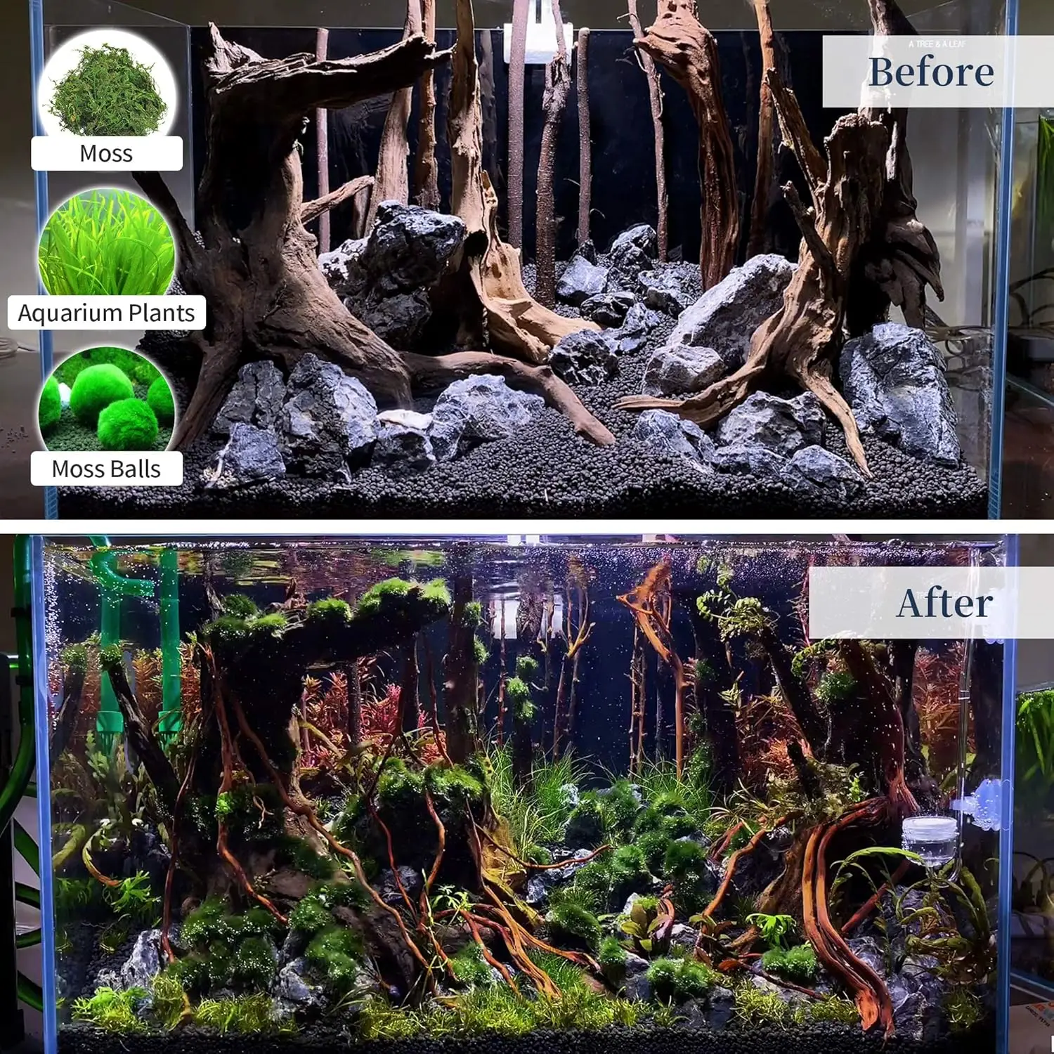 Natural Aquarium Driftwood - Eco-Friendly Decor Solutions