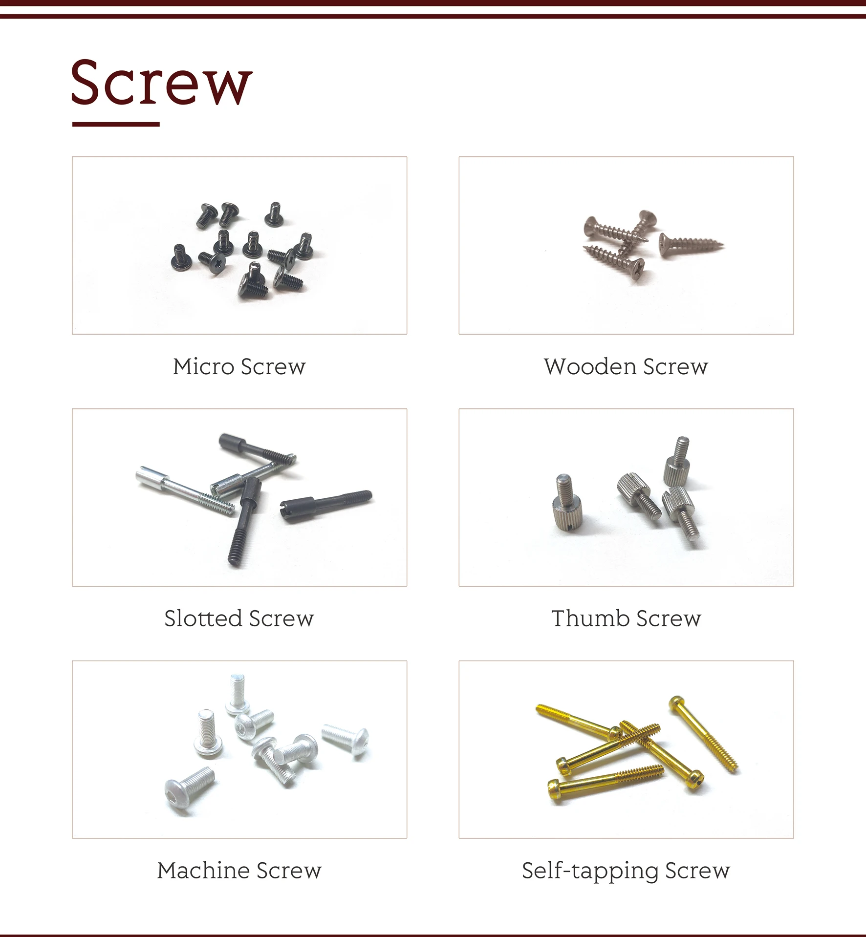 304 Stainless Steel Chemical Inverted Cone Anchor Bolt For Greenhouse ...