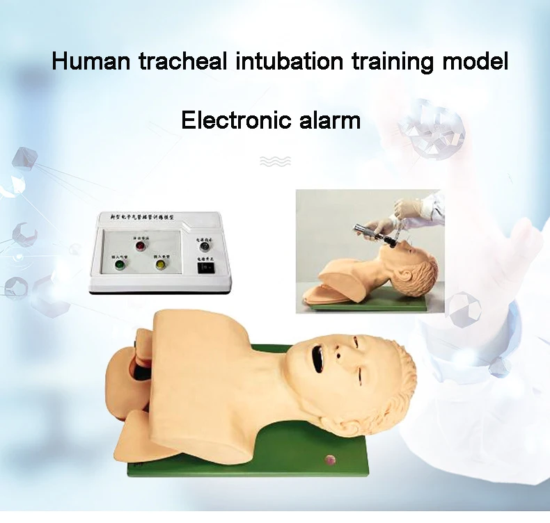 3d Human Electronic Endotracheal Intubation First Aid Training Model ...
