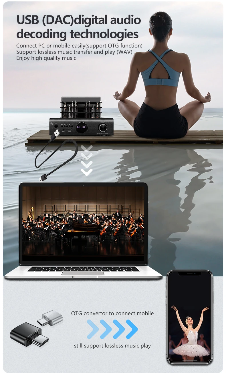 200W Stereo Tube Vacuum Amplifier with Remote Control