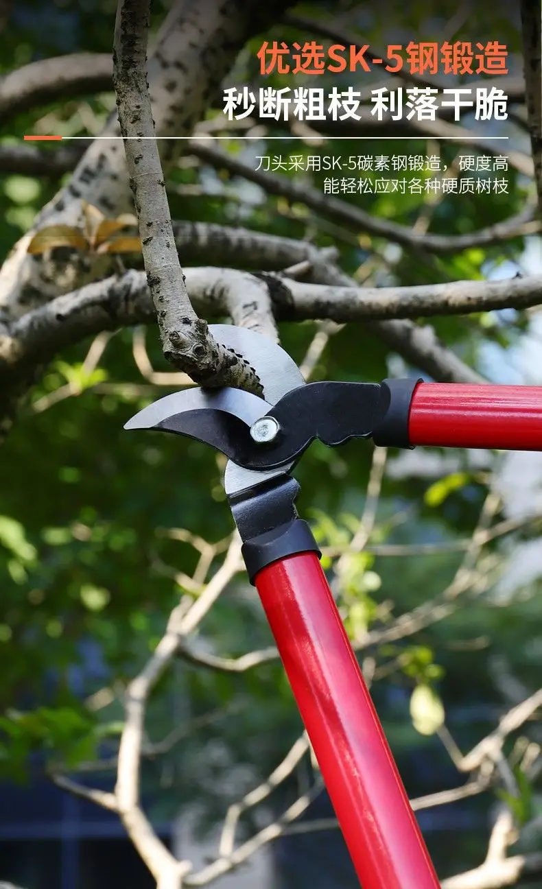 Heavy-Duty Tall Reach Pruner Scissors With Robust Blade for Thick ...