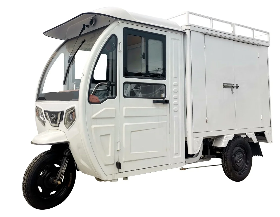 Electric Cargo Tricycle With Fully Enclosed Rear Box,Motorized ...