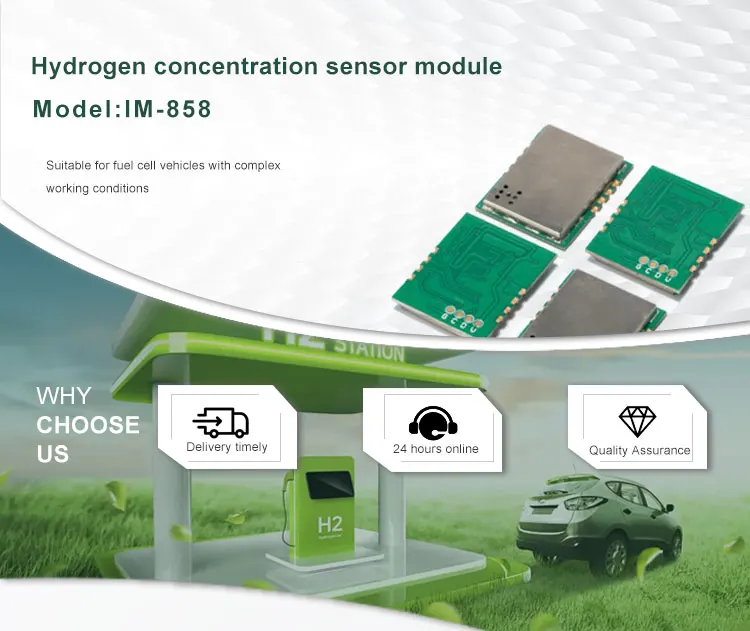Hydrogen Concentration Sensor With Can Signal Output For Energy Storage ...