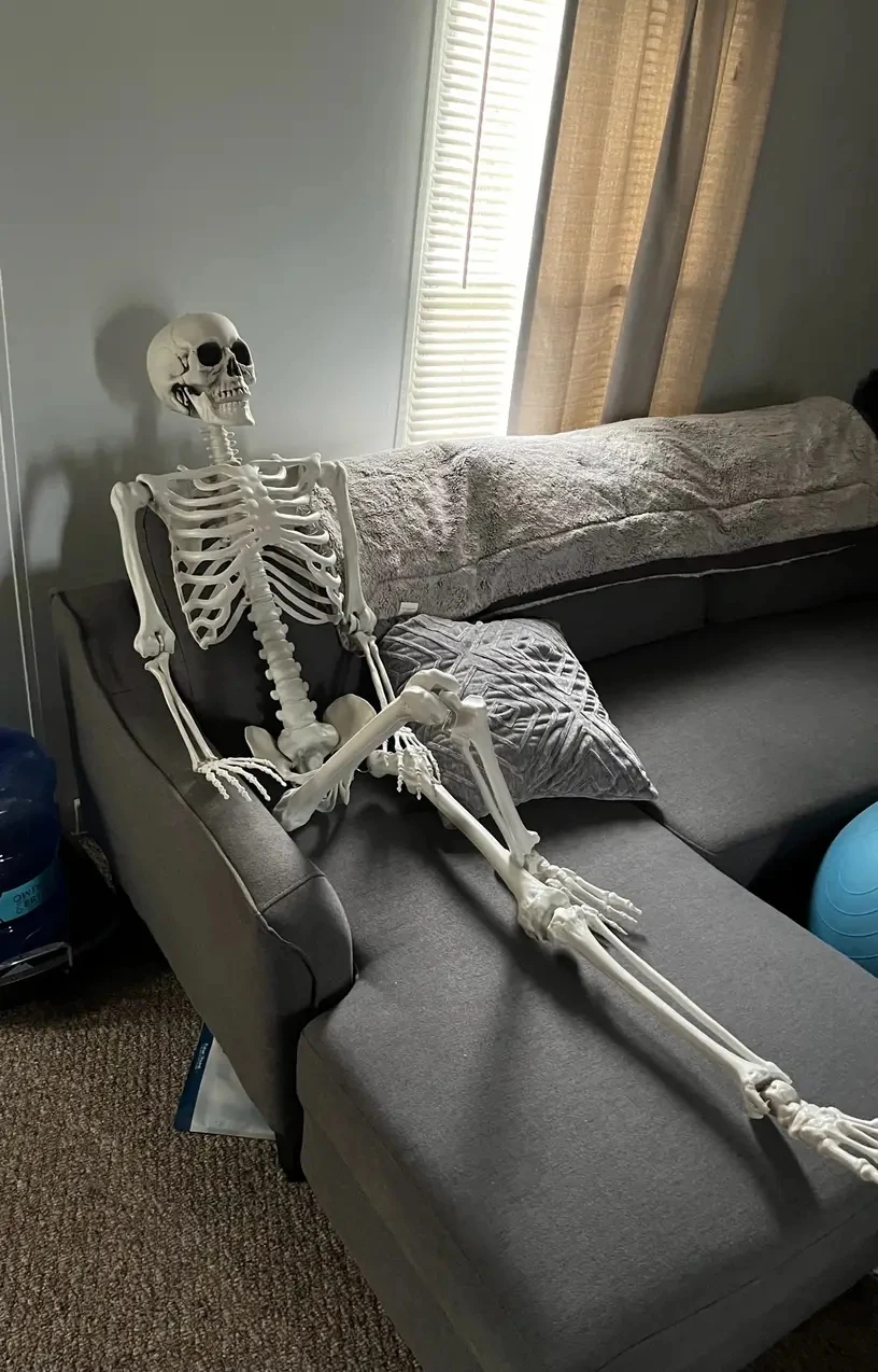 Cheap Scary Halloween Decoration Props - Life Size Skeletons