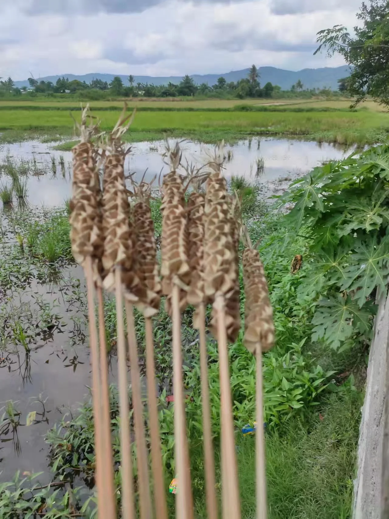 Home Use Decoration Dried Handmade Flower Make Of Nature Raffia Plant ...