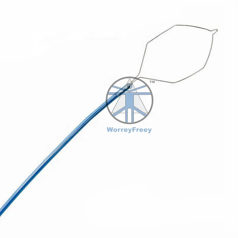 Disposable Instrument Polypectomy Snare - Endoscopic Snare