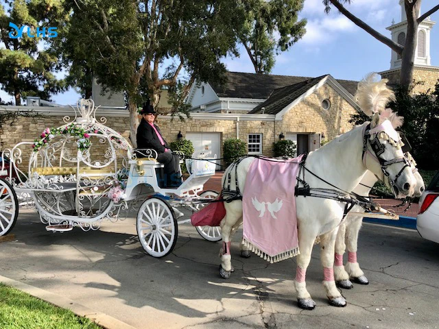 LHS Electric or Horse-Drawn Funeral Hearse - Durable & Stylish