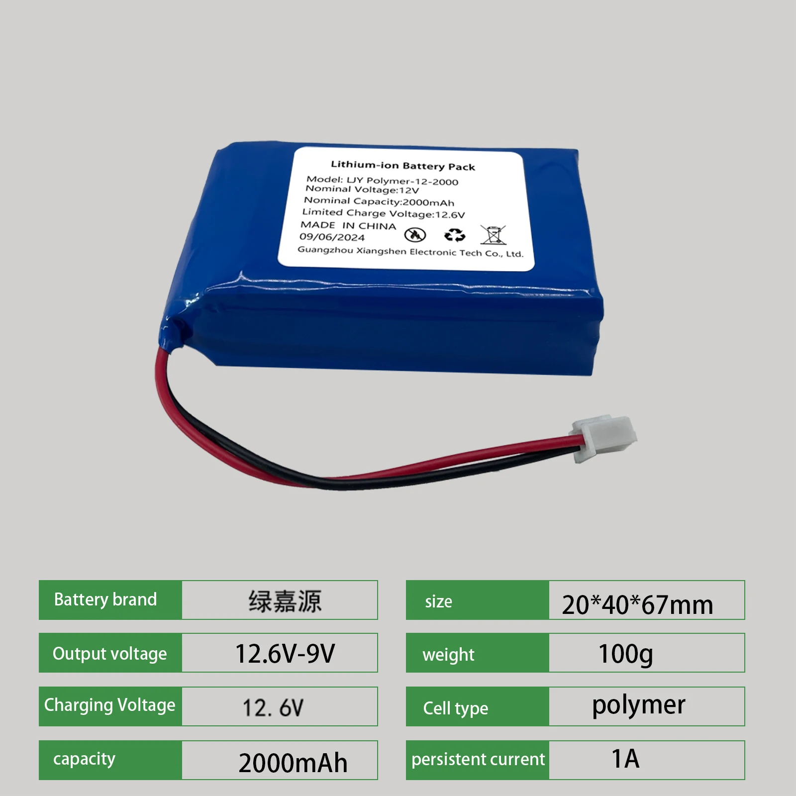 LiPo 12V 2000mAh Lithium Ion Battery Pack High-Performance Power Tools ...
