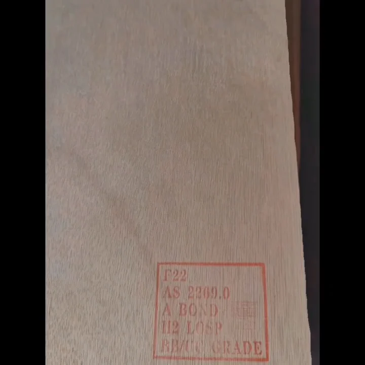 F22 Structural Brace Bracing Ply 4mm Eucalyptus Plywood For Building ...
