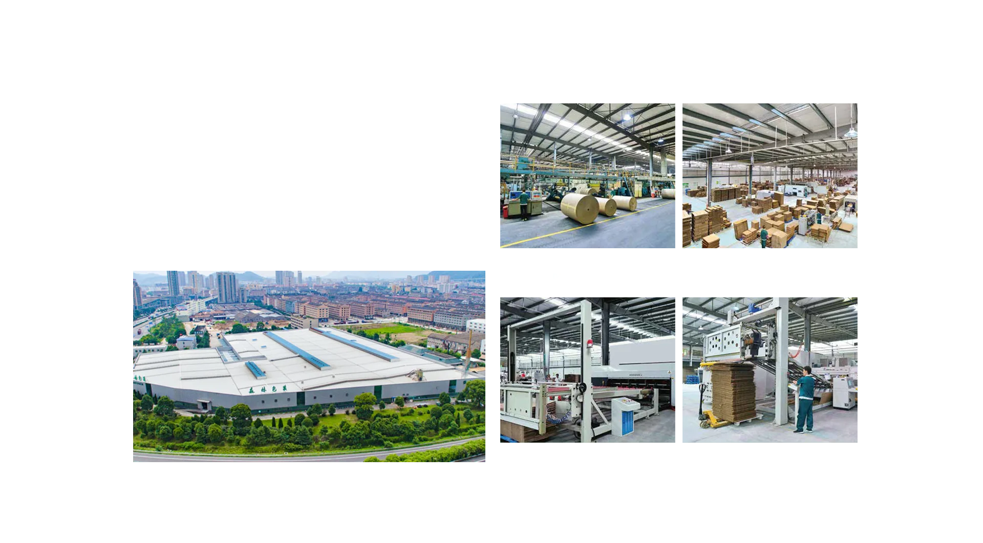 Company Overview - Forest Packing Group Co., Ltd.