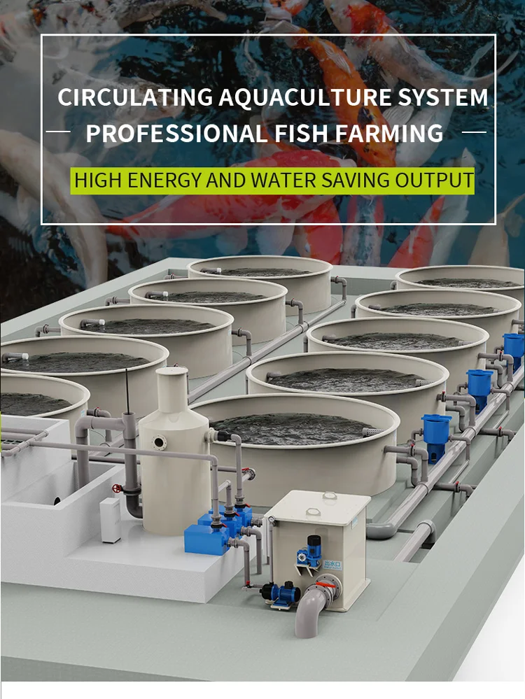 Ras Circulating Aquaculture System Drum Filter Solid Filter Rotary Drum ...