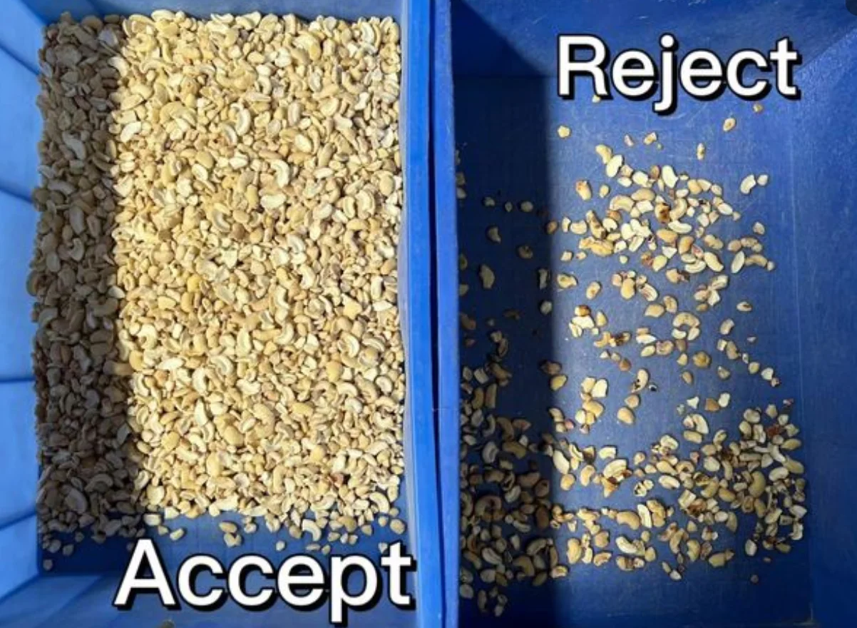 Intelligent Nut Sorting Machine Hazelnut Pine Nut Cashew Mini Sorting ...