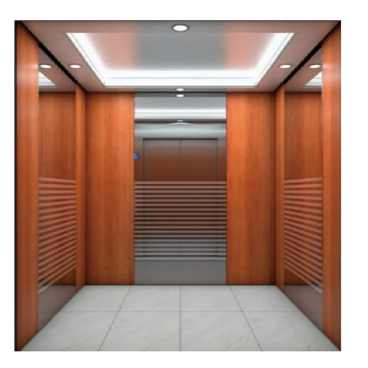 Msds Popular Luxury Pvc Floor Traction Driven Elevator 1250kg Large ...