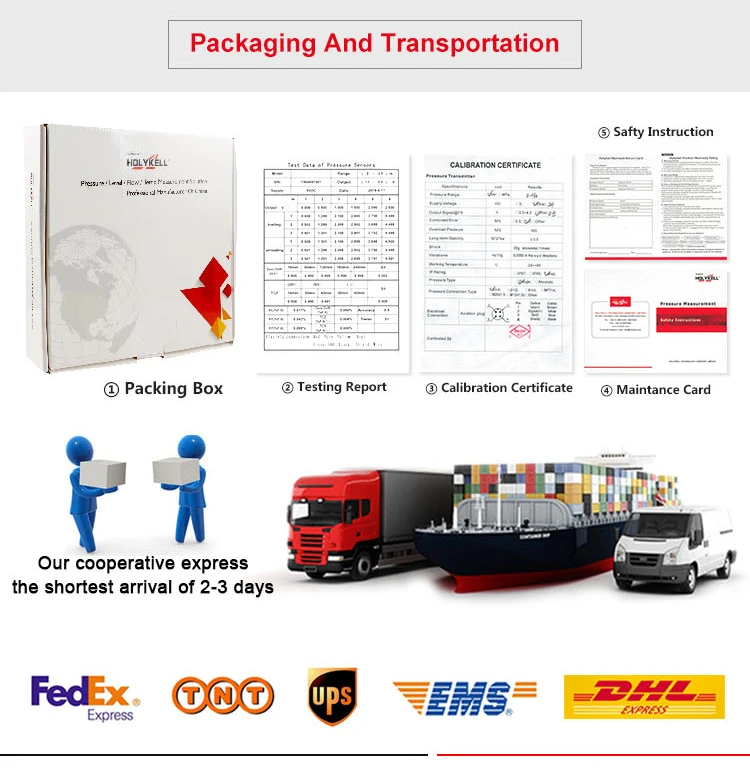 Holykell Hpt604 Submersible Water Level Sensor Probe - Buy Water Level ...