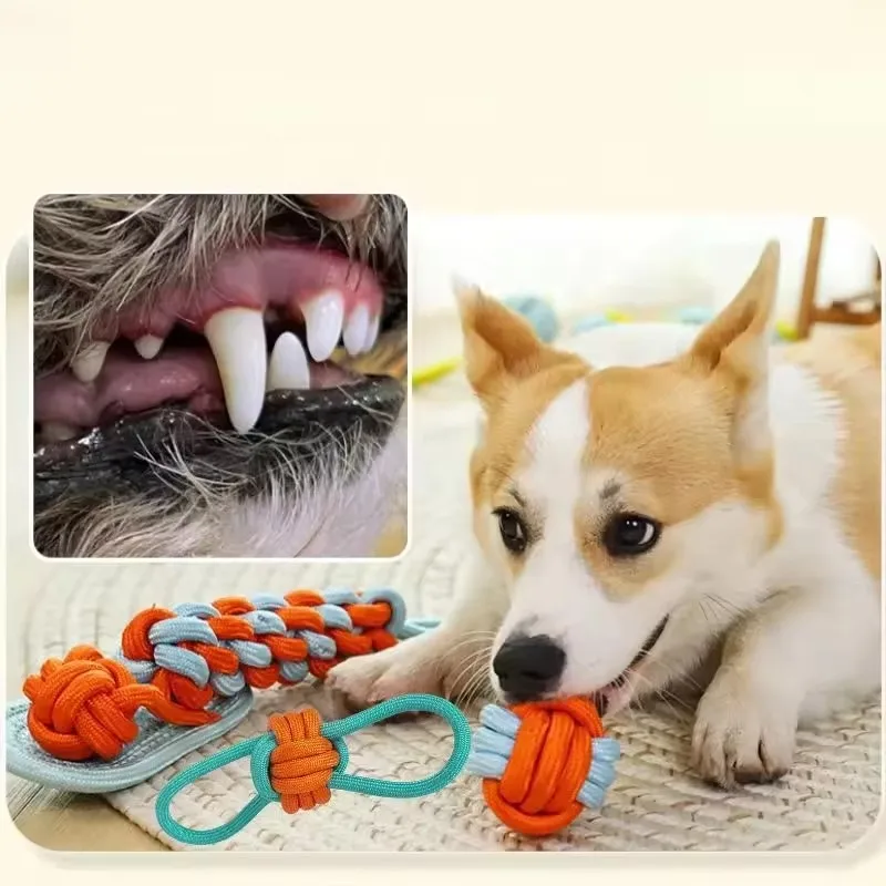 2024 New Interactive Tug Pet Polypropylene Rope Toys Pet Cat Toy ...